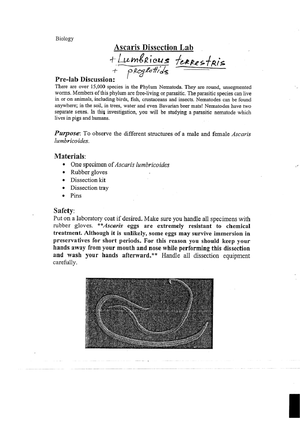 Clam dissection Lab - BIOL 1407 - LSC - Studocu