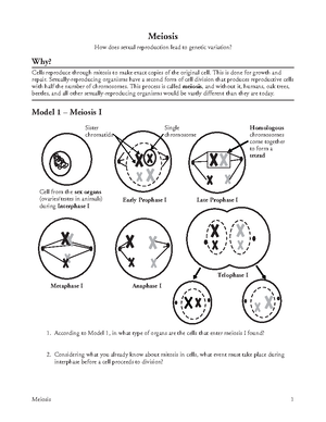 Copy of Gizmo Senses SE - description of body parts - Name: Kaidyn ...