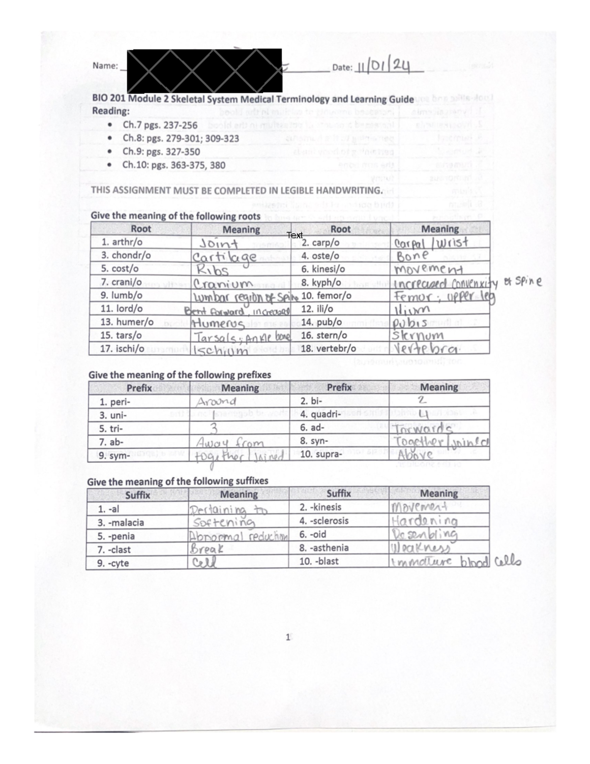 Bio 201 Module 2 Skeletal System Medical Terminology And Learning Guide