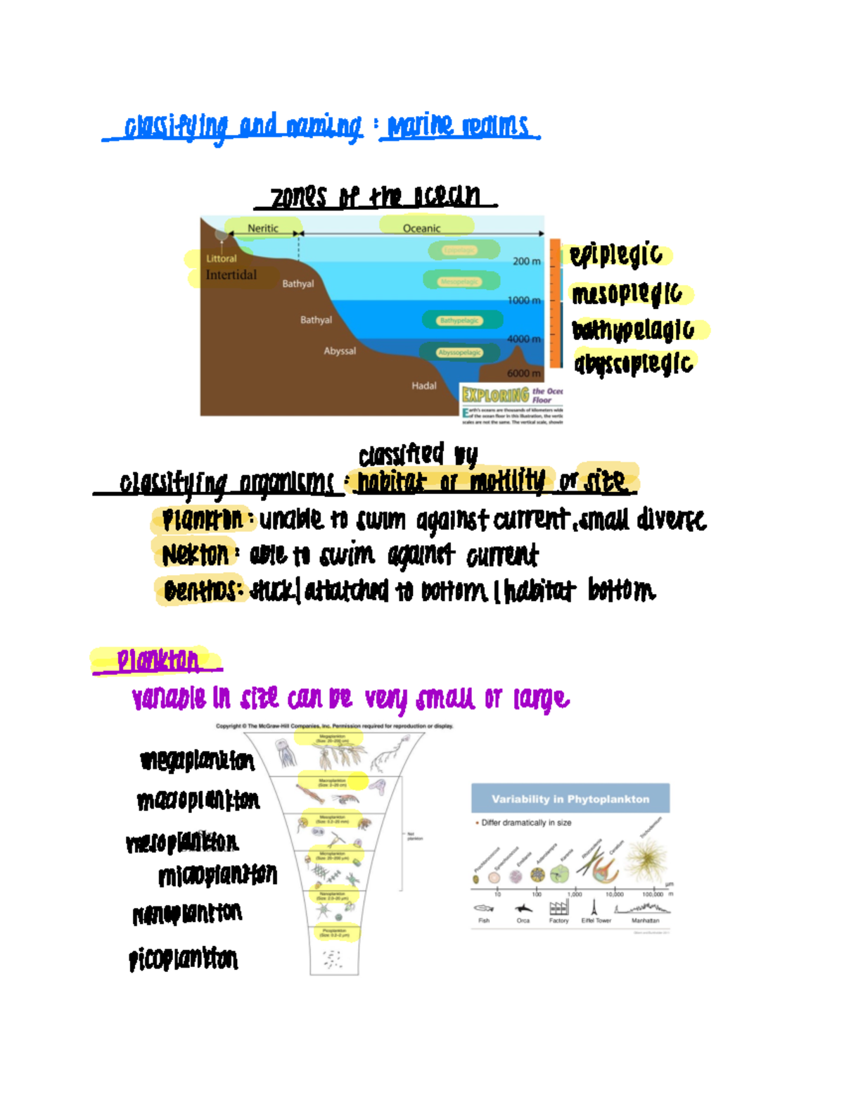 Naming marine realms - Lecture notes 2 - BIOS-3590 - Studocu