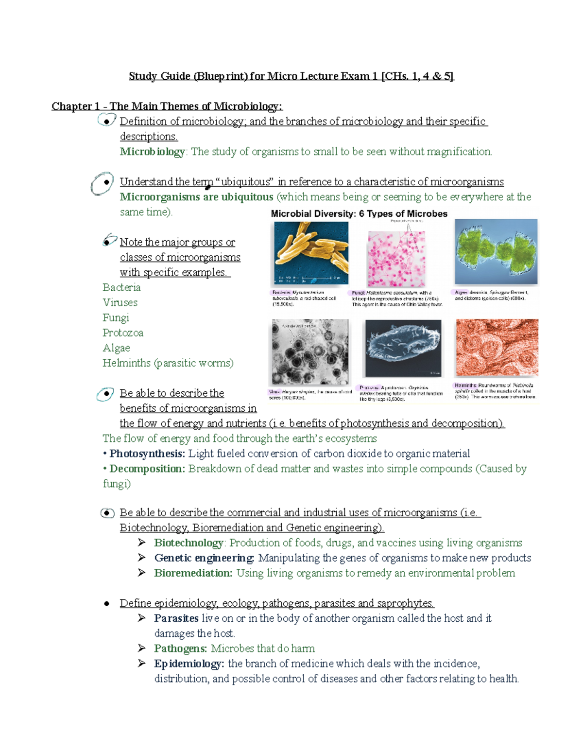 Lecture Exam 1 Microbiology Blue Print - Study Guide (Blueprint) for ...
