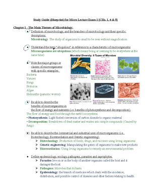 Micro Midterm copy - 1. Infection occurs when? D) pathogens enter and ...