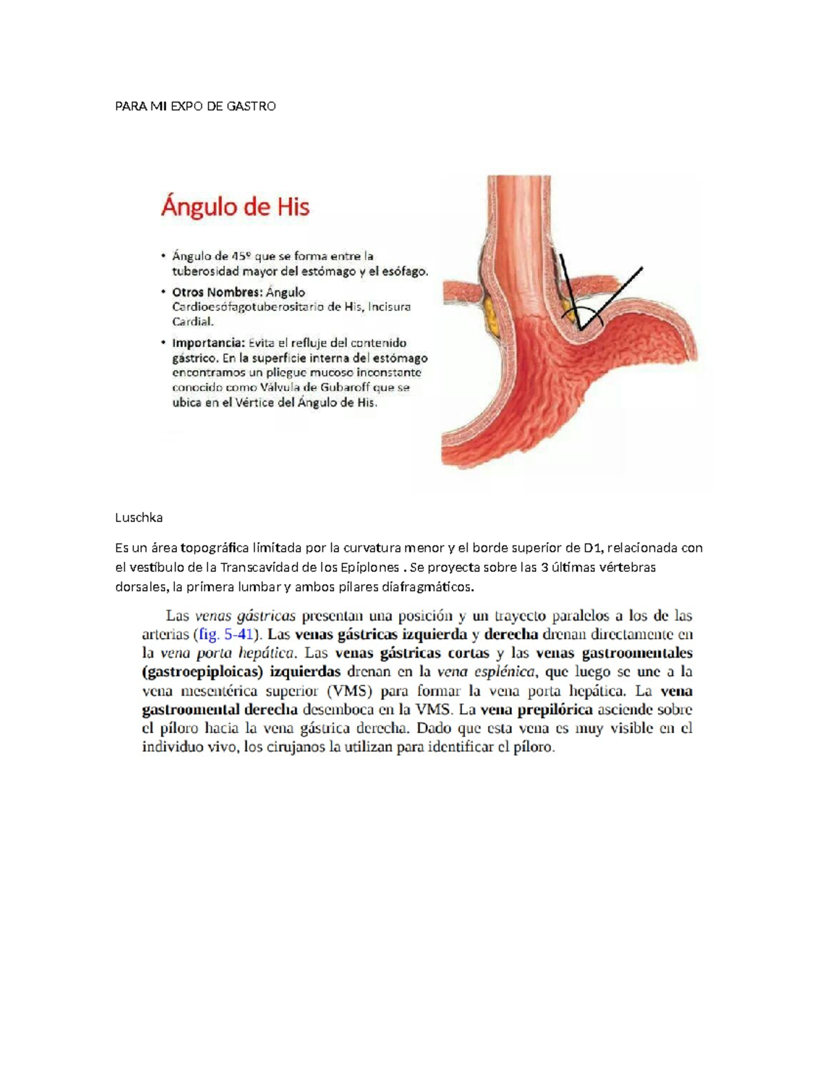 resumen de estomago y duodeno - PARA MI EXPO DE GASTRO Luschka Es un ...