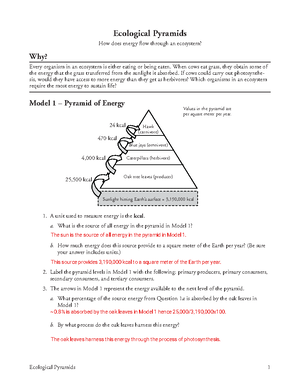 Gizmos Estimating Population Size - Name: Student Date: /// Student ...