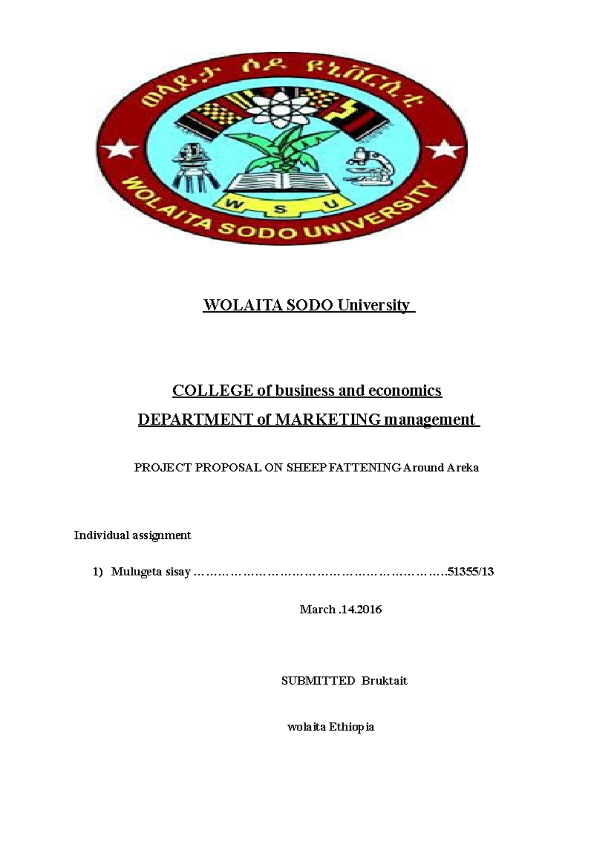 Mule project - WOLAITA SODO University COLLEGE of business and ...