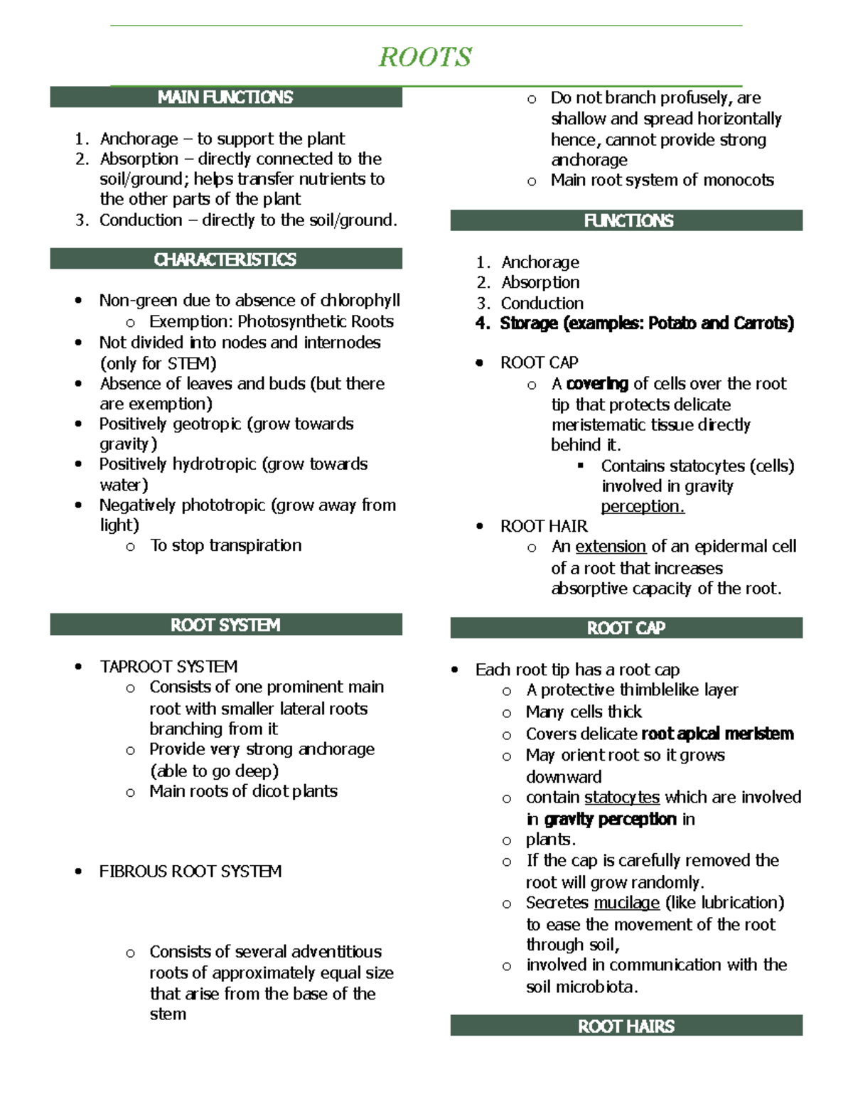 Roots - MAIN FUNCTIONS Anchorage – to support the plant Absorption ...