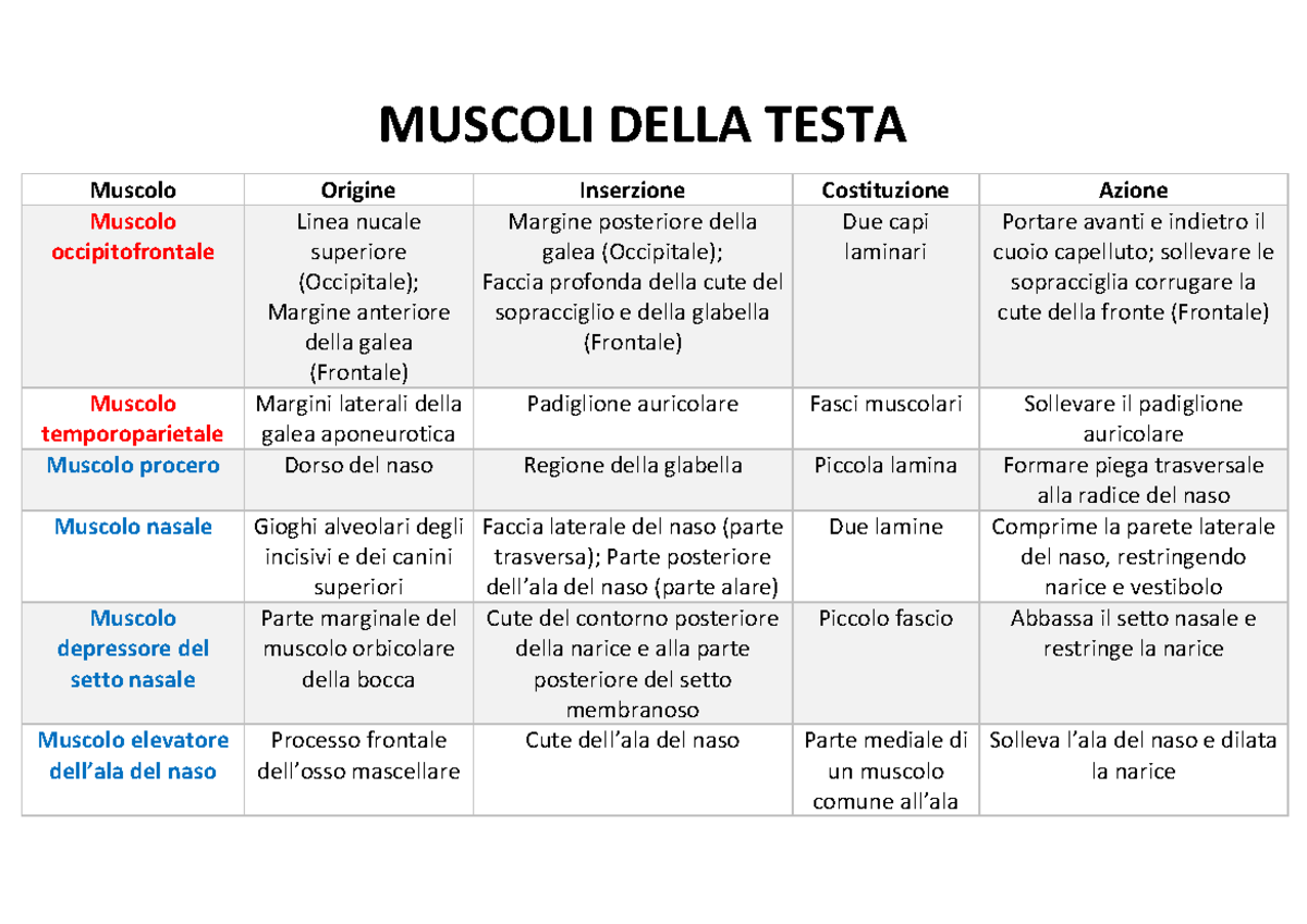 Tabella dei muscoli - MUSCOLI DELLA TESTA Muscolo Muscolo ...