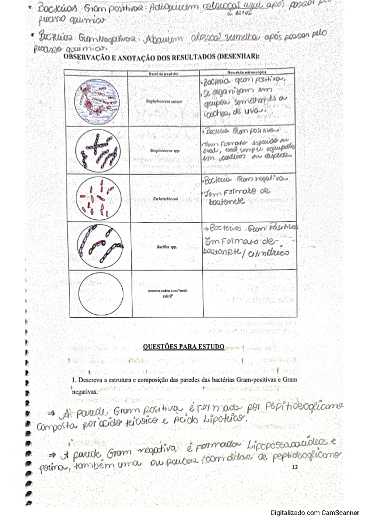 Relatorio Agravos - lllllll - Backrios Giam positive Adiopurem colowas ...