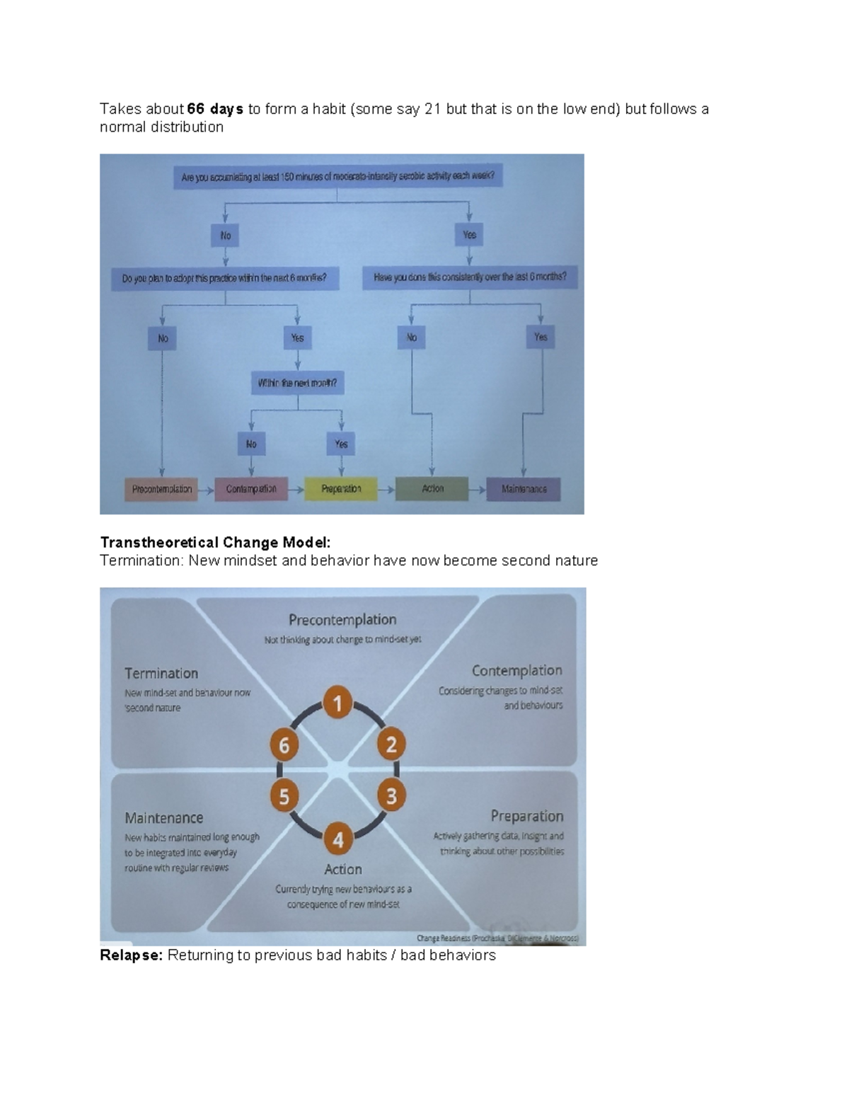 Kin 2000 Week 3 - Notes for Week 3 - Takes about 66 days to form a ...