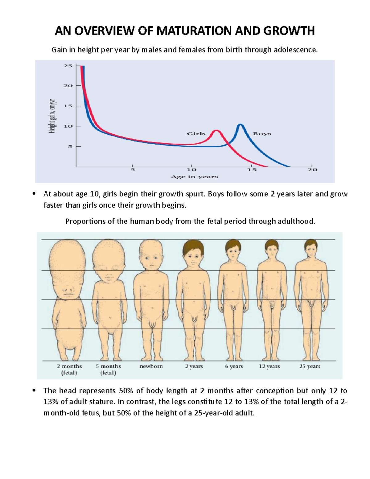 Physical Development Infancy Adolescence - AN OVERVIEW OF MATURATION ...