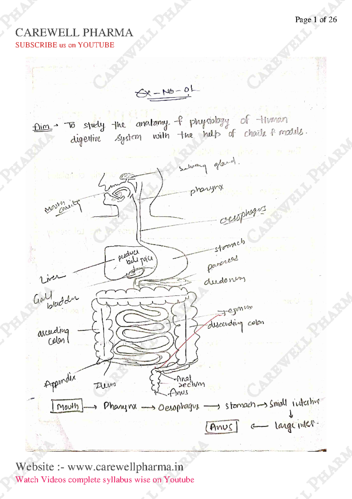 Practical on the human body for those who do practicals, information to ...