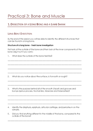 QAdds Chart - NUR1100 - Studocu
