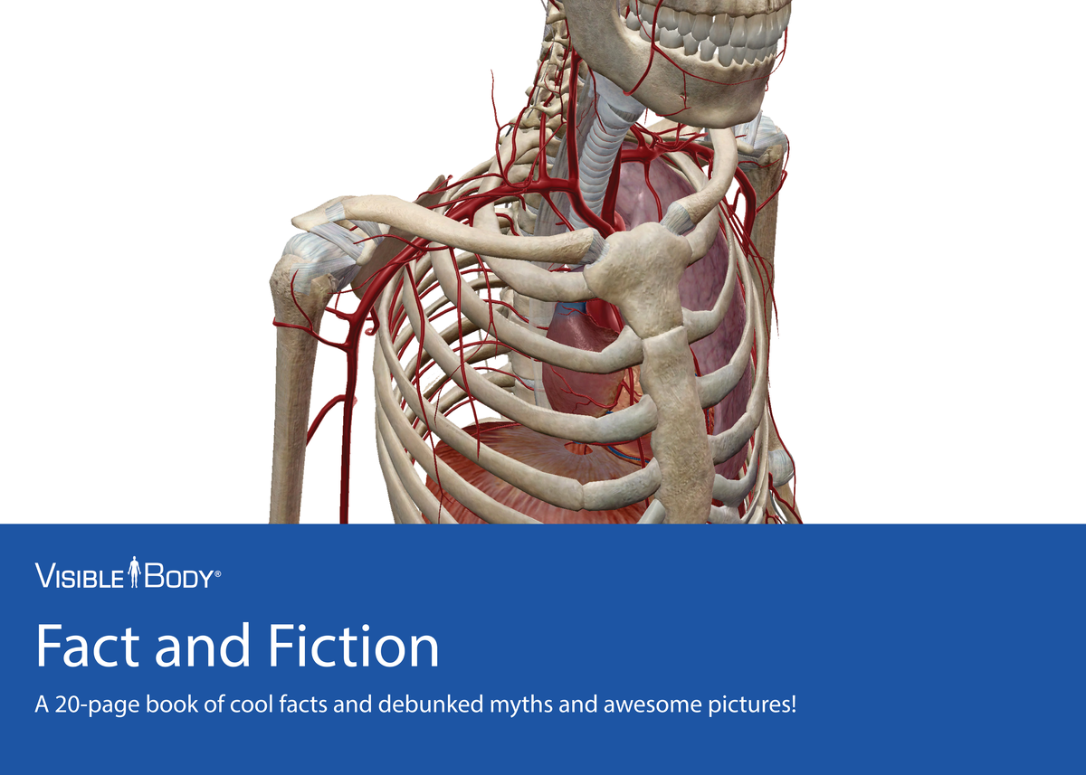 Visible Body Facts and Fiction EBook - Fact and Fiction A 20-page book ...