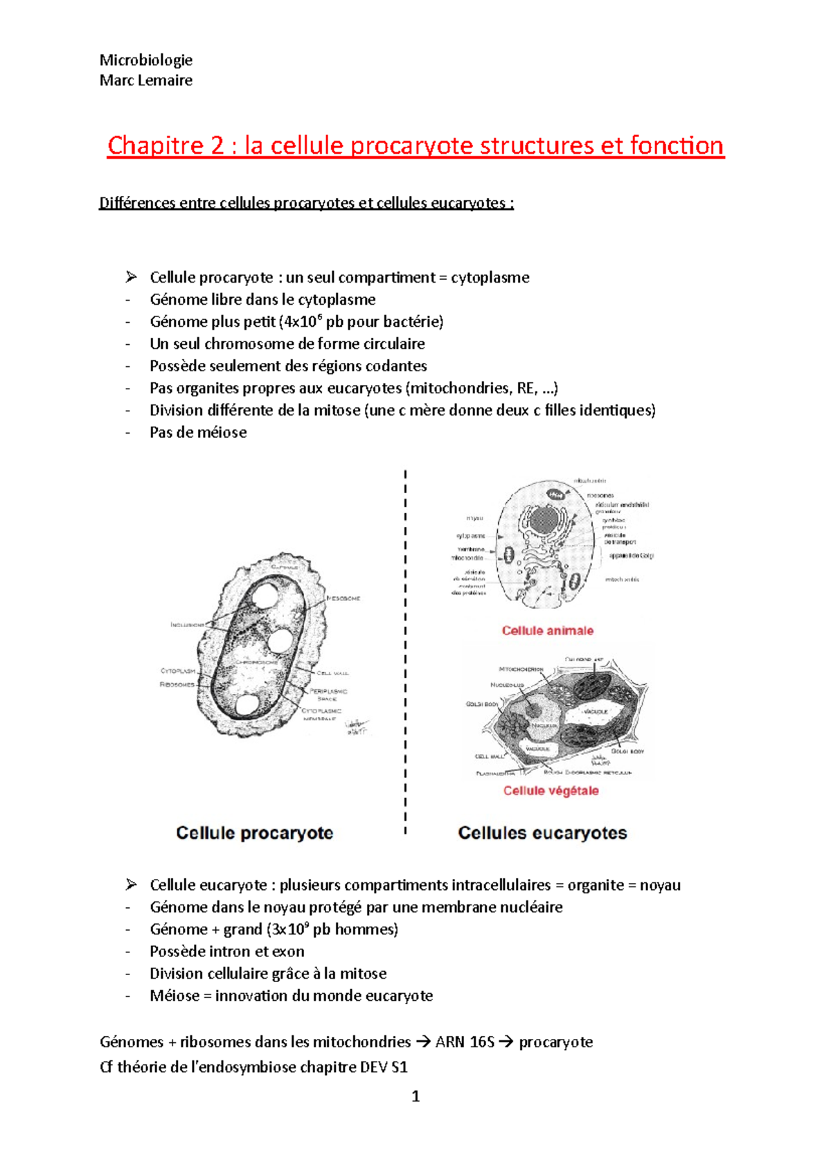 Chapitre 2, Structure de la cellule procaryote - Marc Lemaire Chapitre ...