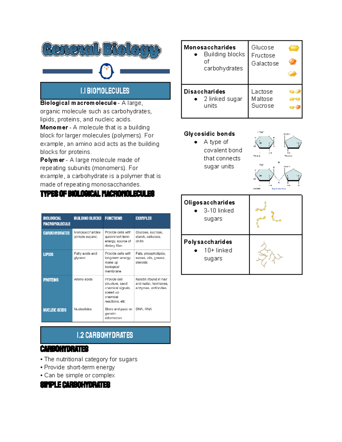 General Biology 3RD Quarter - 1 BIOMOLECULES Biological macromolecule ...