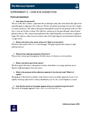 COW EYE LAB Week 8 dissection post lab questions - EXPERIMENT 3 – COW ...