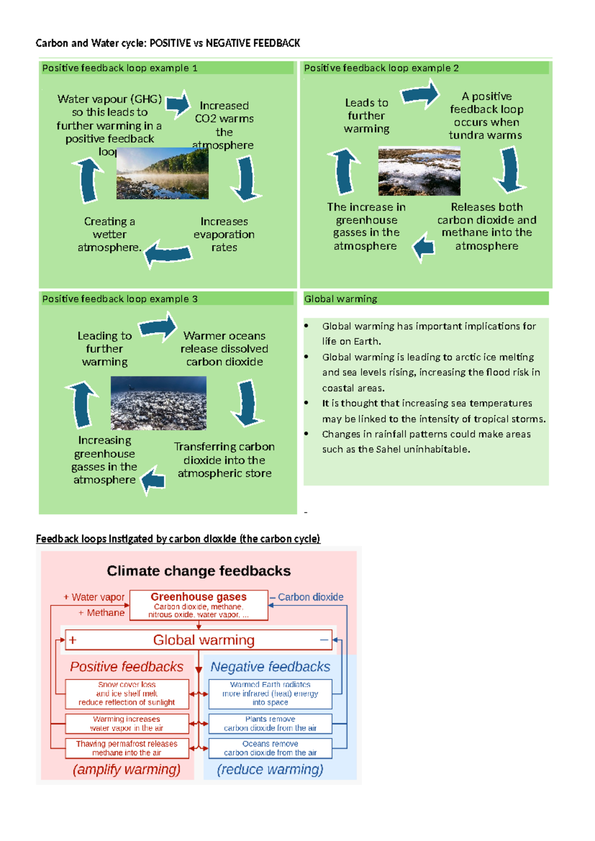 Feedback Loops - Carbon and Water cycle: POSITIVE vs NEGATIVE FEEDBACK ...