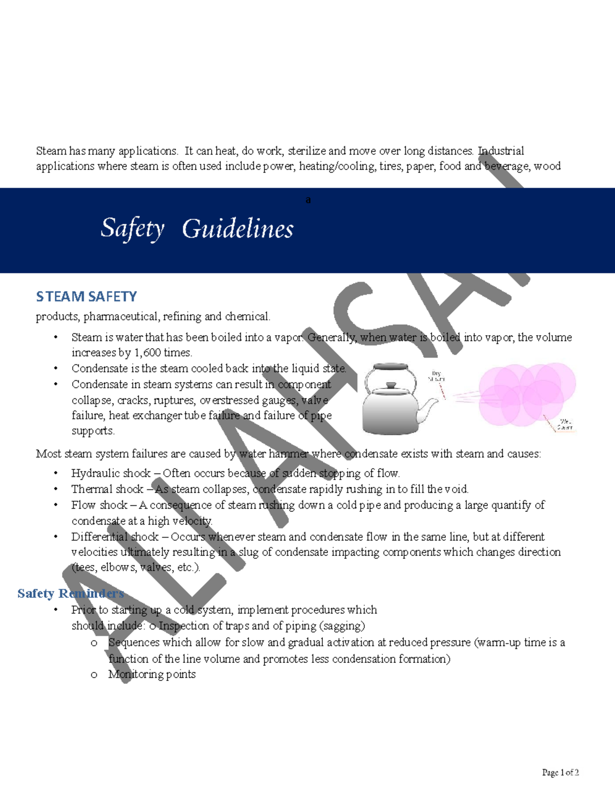 Safety Guidance - Steam has many applications. It can heat, do work ...