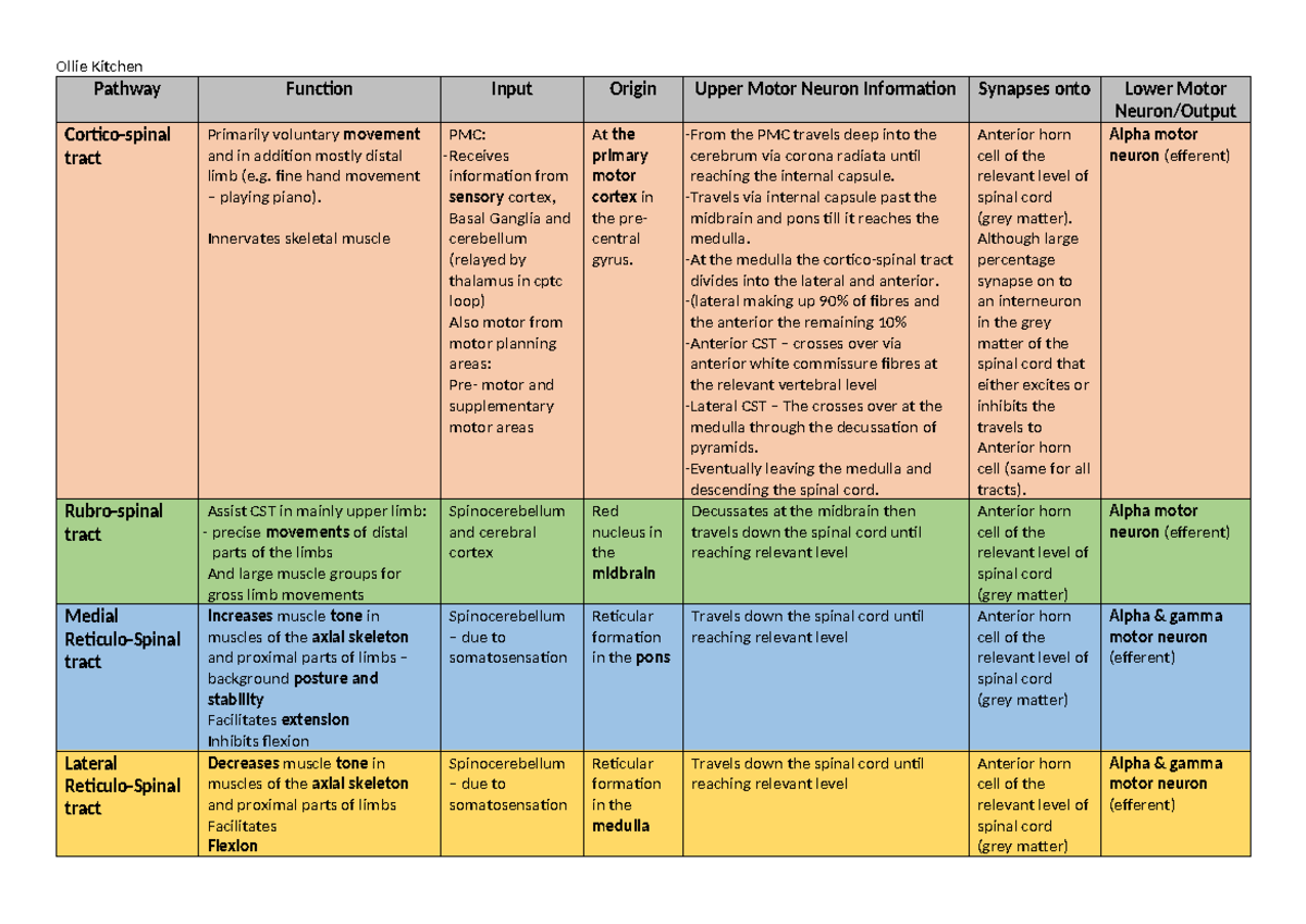 Ollie Kitchen Motor Pathway Table (2) - Tagged - Ollie Kitchen Pathway ...