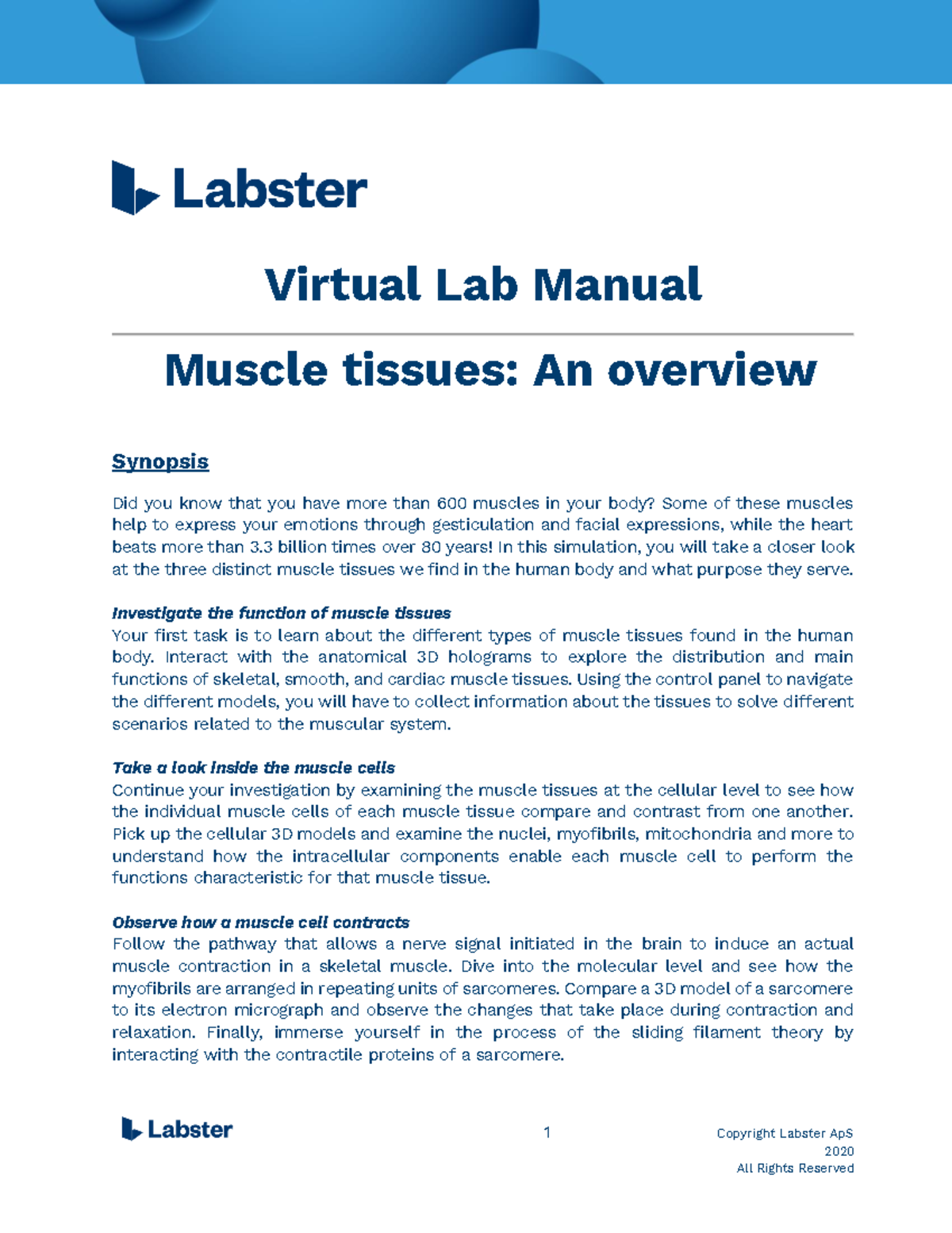 Lab Manual Muscle tissues An Overview - 1 Copyright Labster ApS 2020 ...