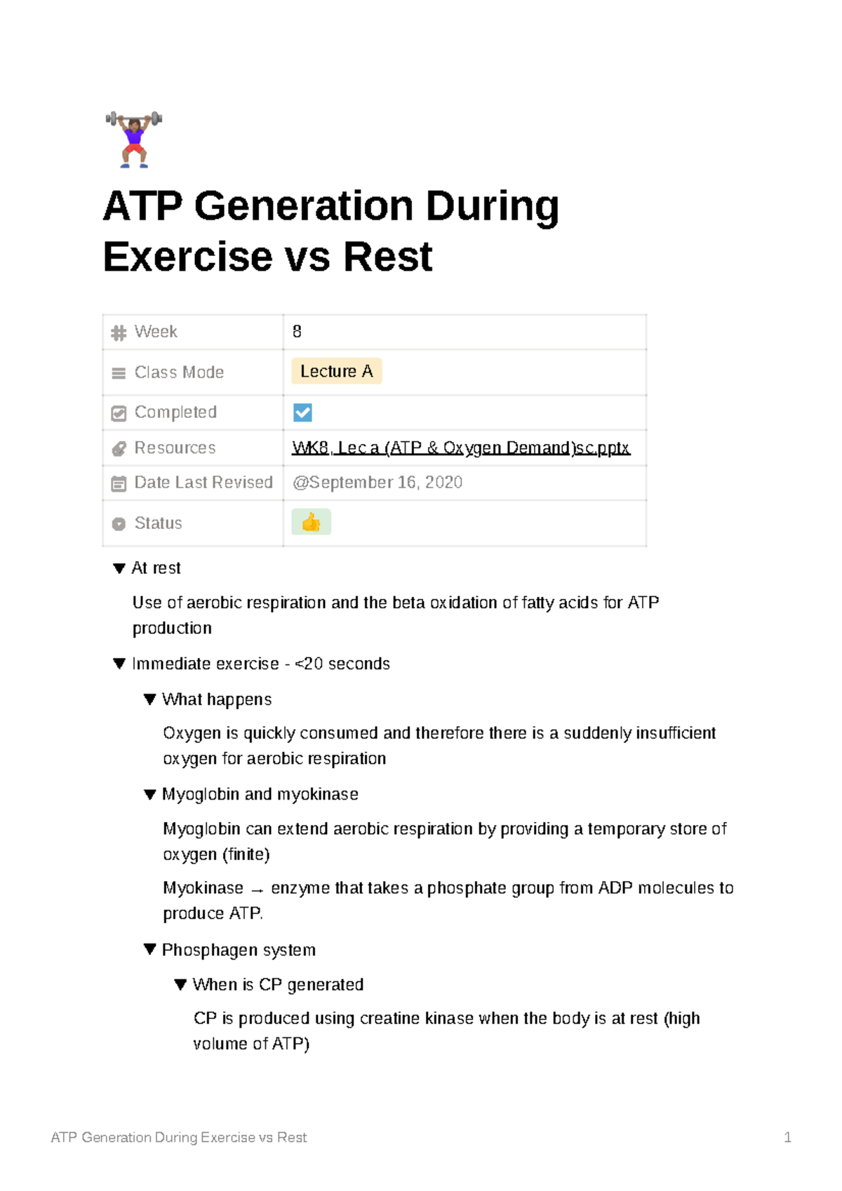 ATP Generation During Exercise vs Rest - ATP Generation During Exercise ...