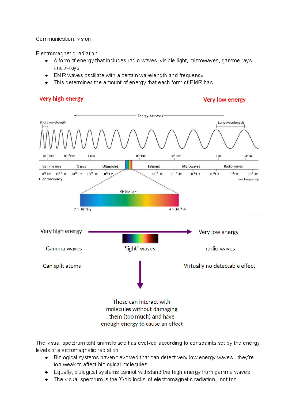 Communication/vision - Communication: vision Electromagnetic radiation ...