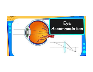 Hart Chart in accomodation - Physical Medicine and Rehabilitation Hart ...