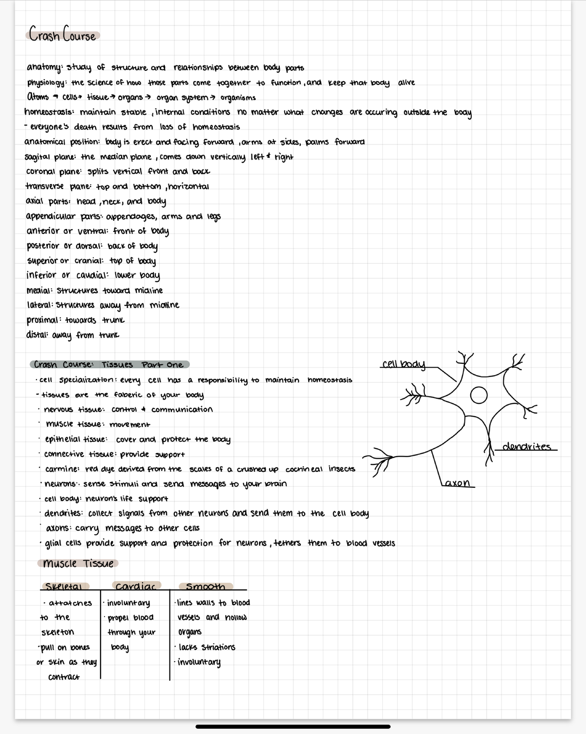 IMG 0388 - basic human anatomy - Crash Course anatomy: study of ...