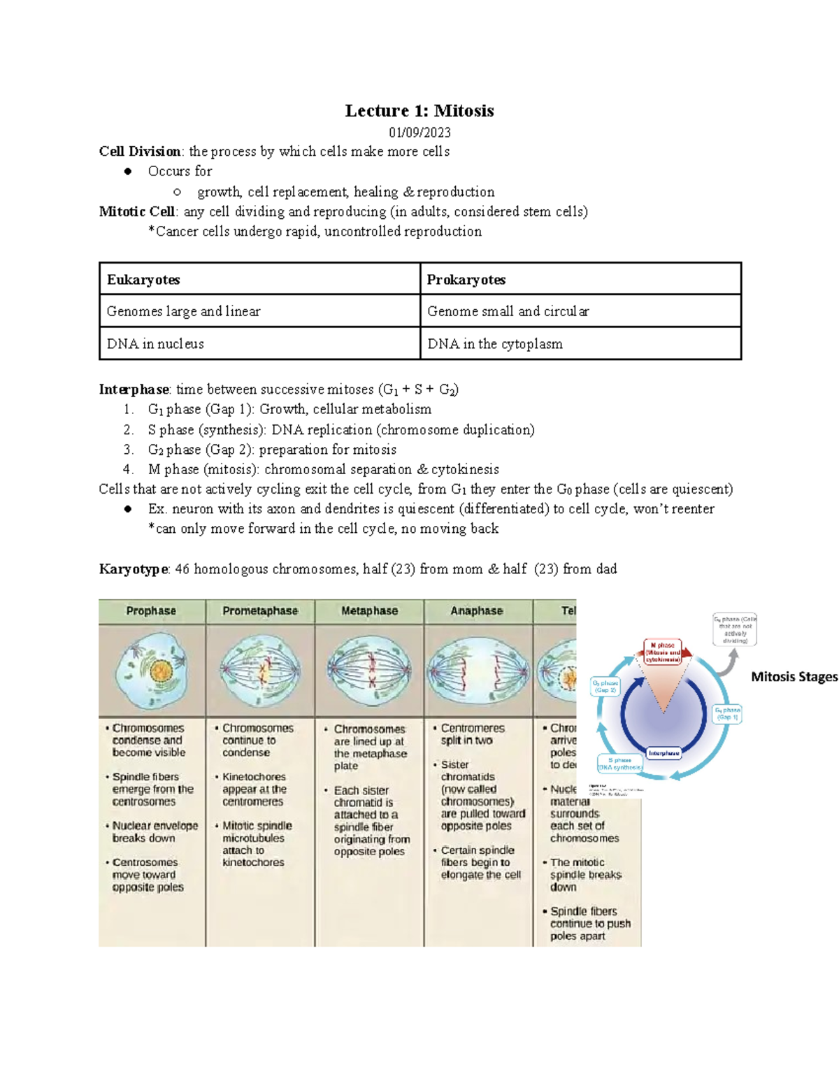 Part 1 Summary Notes for Lectures - Lecture 1: Mitosis 01/09/ Cell ...