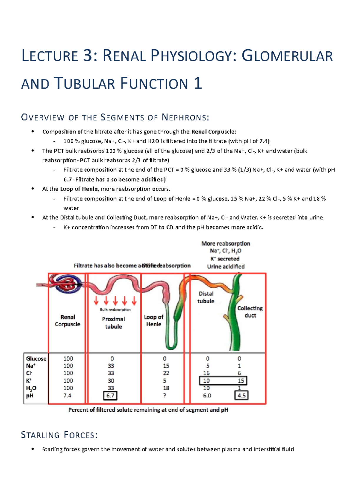Lecture 3- Renal Physiology- Glomerular and Tubular Function 1 ...