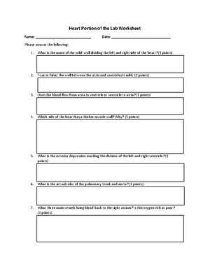 Bone+Surface+Identification+Lab+Worksheet - Bone Surface Identification ...