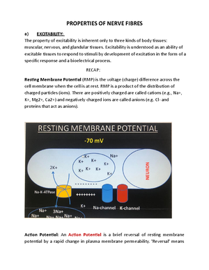 Tejido epitelial - Presentación de tema - Anatomy and Physiology - Studocu
