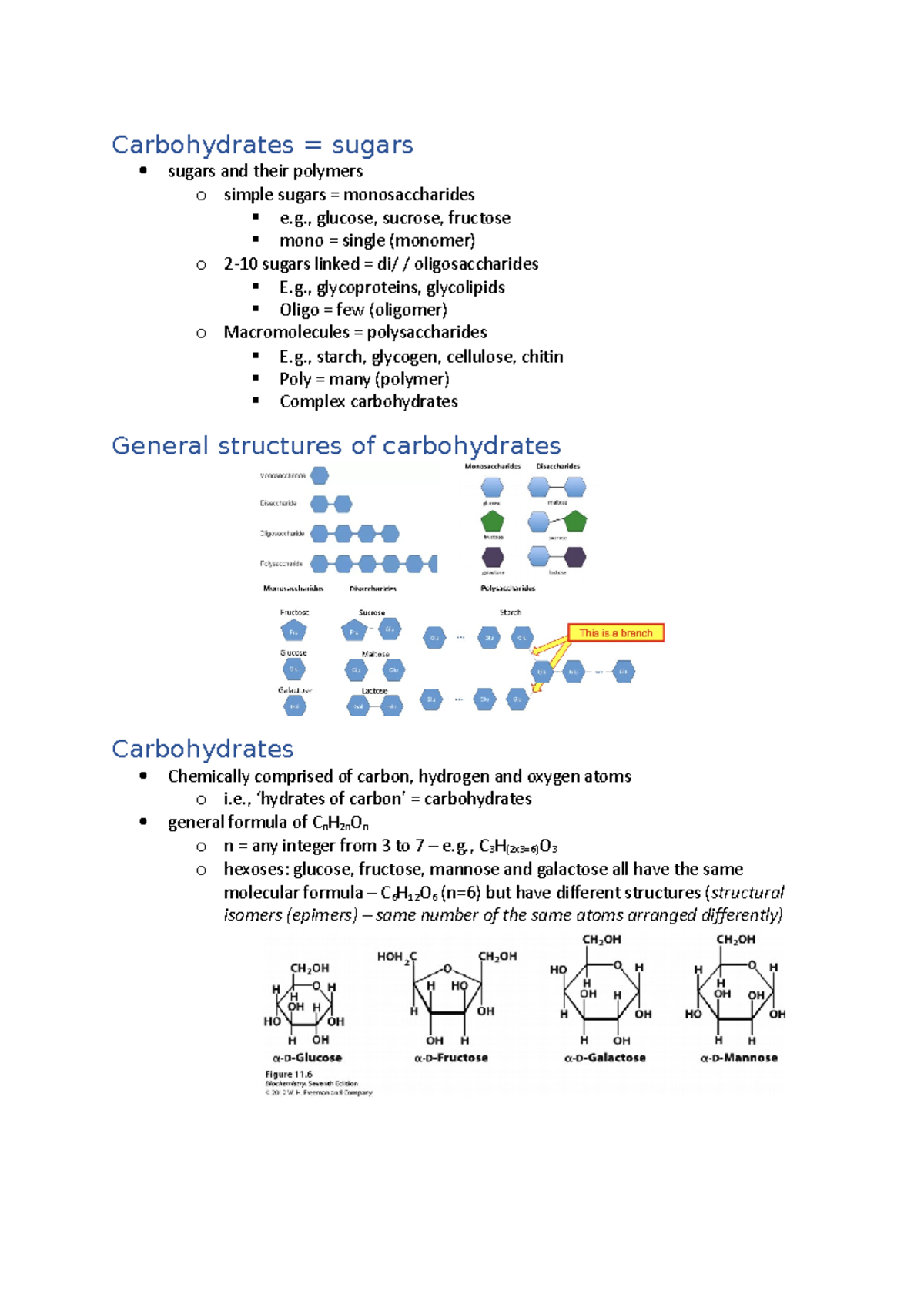 Lecture 4 notes on carbohydrates - Carbohydrates = sugars sugars and ...