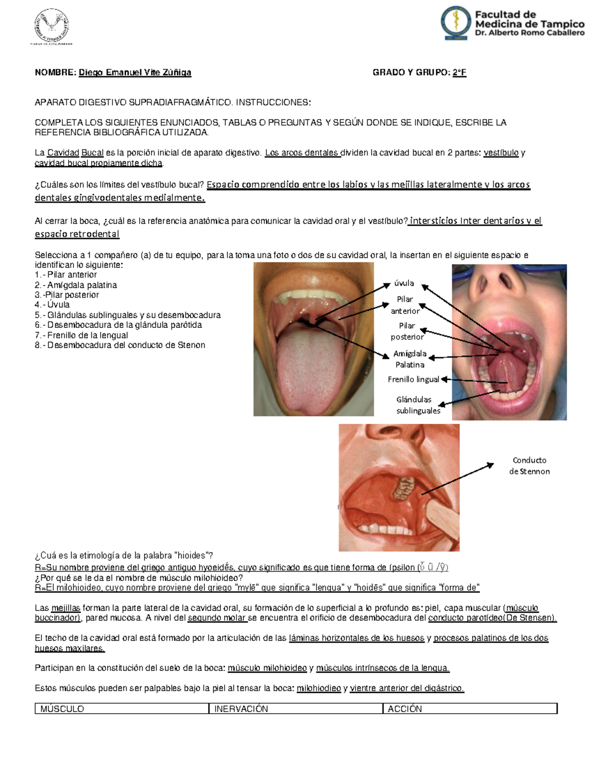 Aparato Digestivo-Diego Vite 2°F supradiafrag - NOMBRE: Diego Emanuel ...