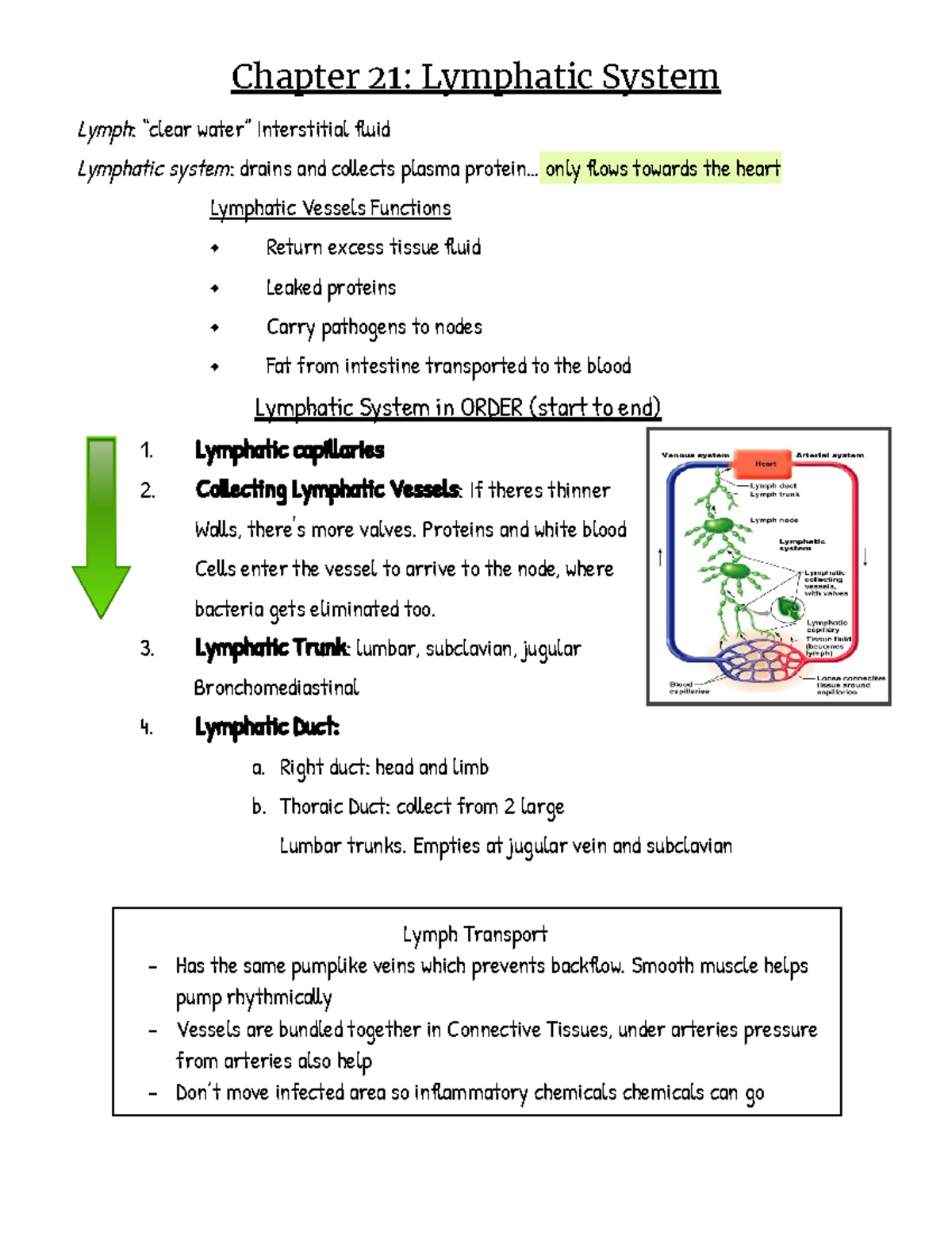 Chapter 20: lymphatic system AP 2302 - Lymph: “clear water ...