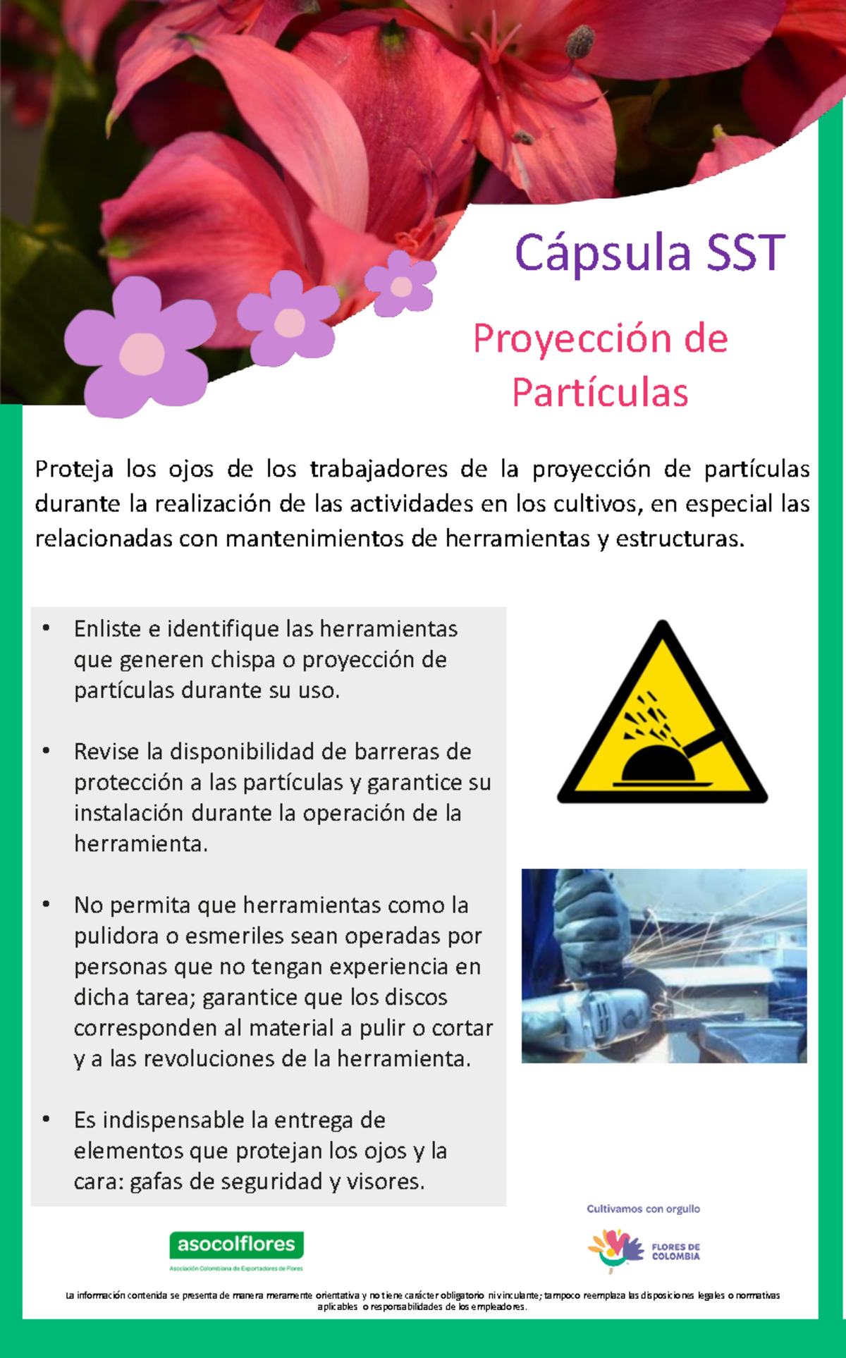 CAP SST S19-22 Proyeccion de particulas - ProyecciÛn de PartÌculas ...