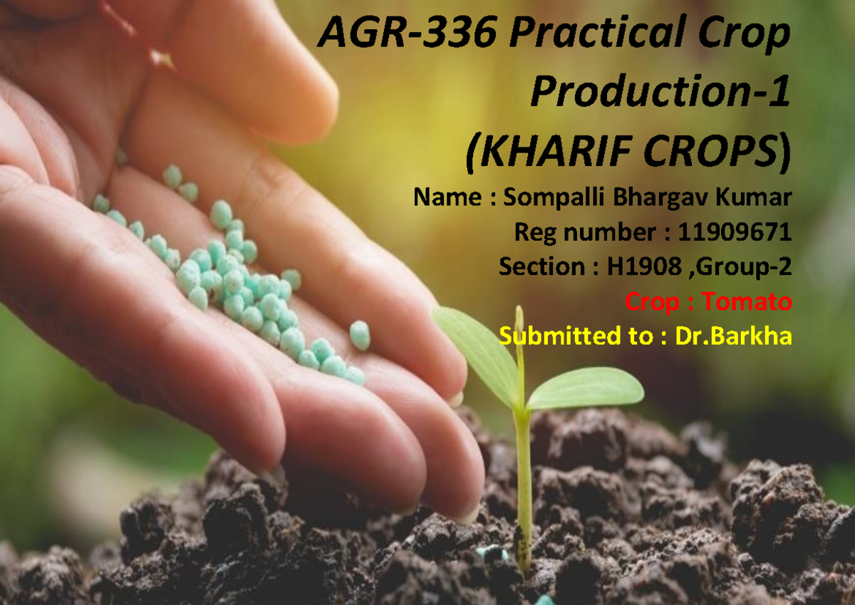 AGRICULTURE ASSIGNMENT 336 - AGR-336 Practical Crop Production- (KHARIF ...