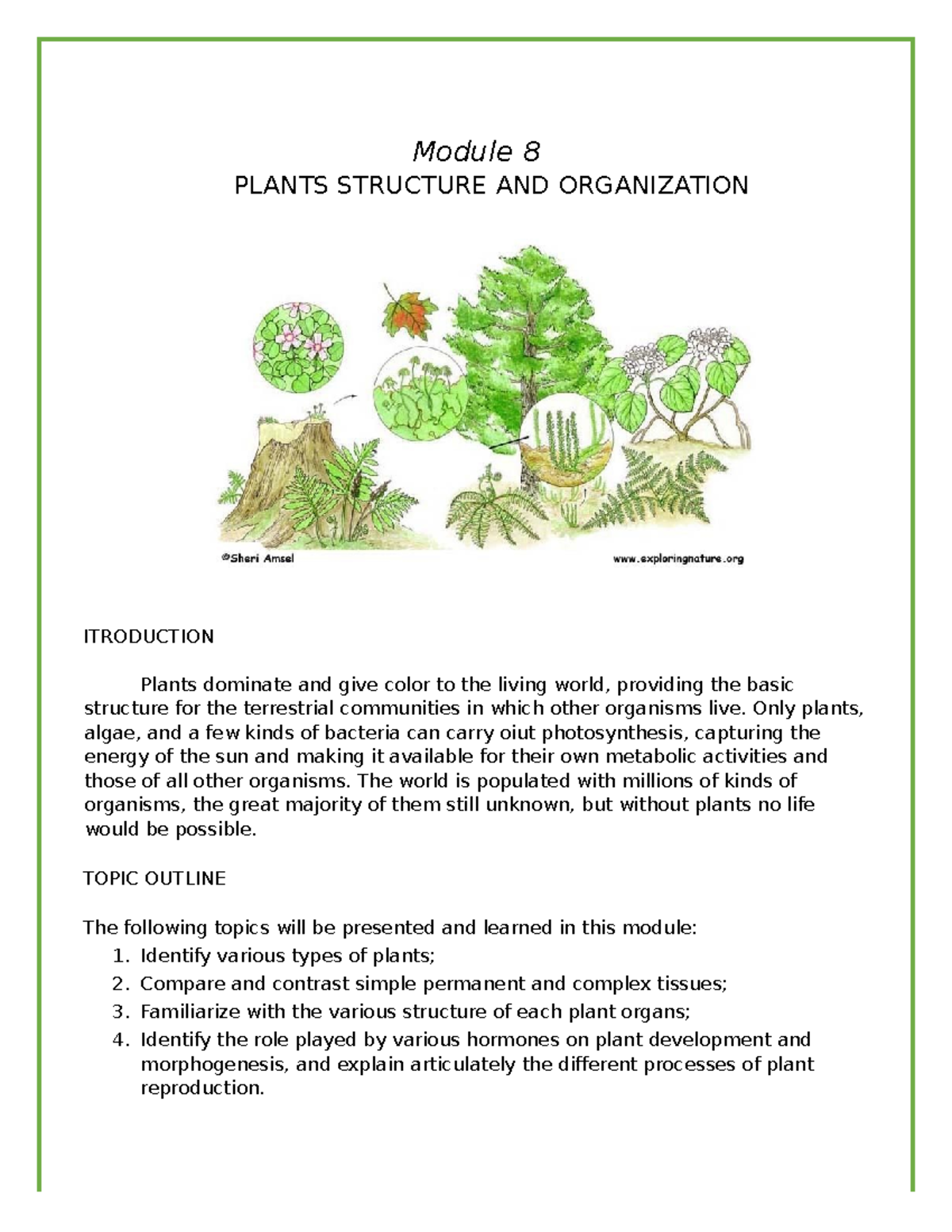 Lecture Plants- Structure-AND- Organization - Module 8 PLANTS STRUCTURE ...