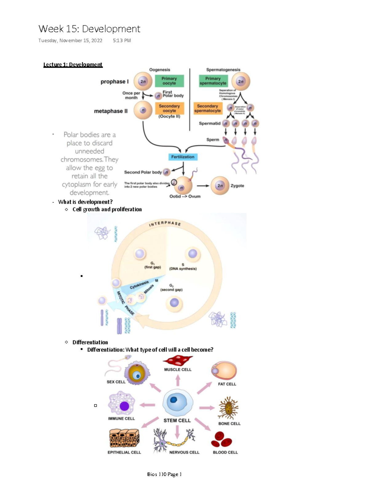 Bios 110 Week 15 - Bios 110 Cells and Organism Notes - Lecture 1 ...