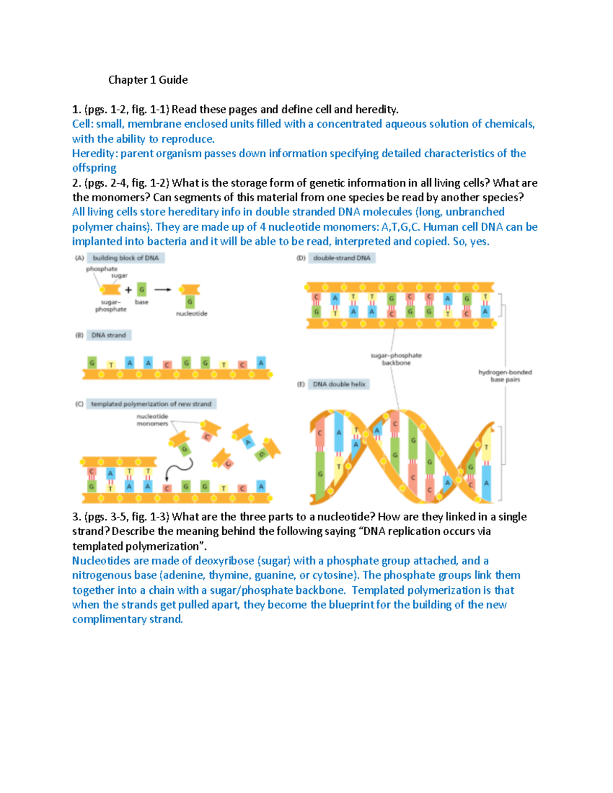 Bio333 ch1 guide - Chapter 1 Guide (pgs. 1-2, fig. 1-1) Read these ...