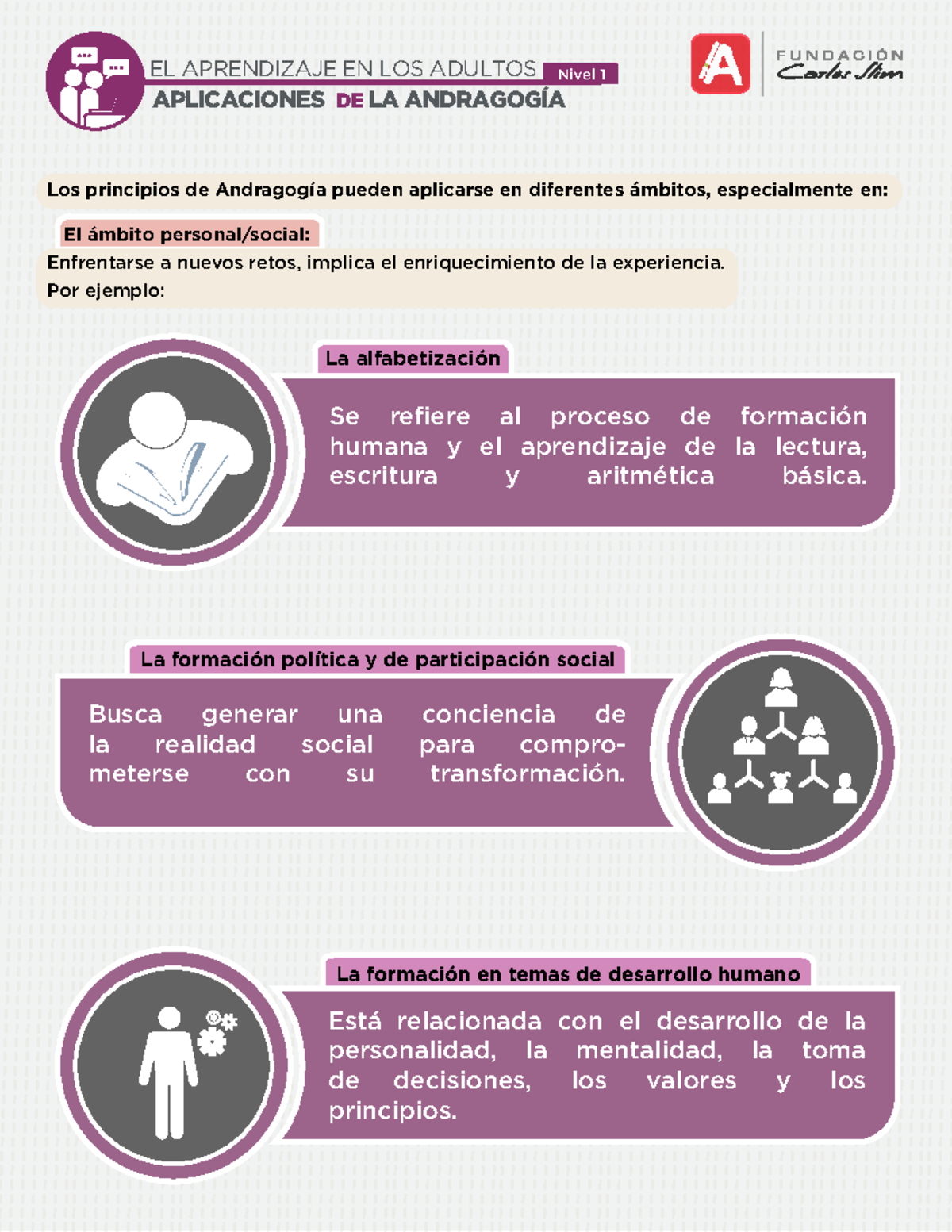 Andragogía : El Aprendizaje De Los Adultos – VWJHZ