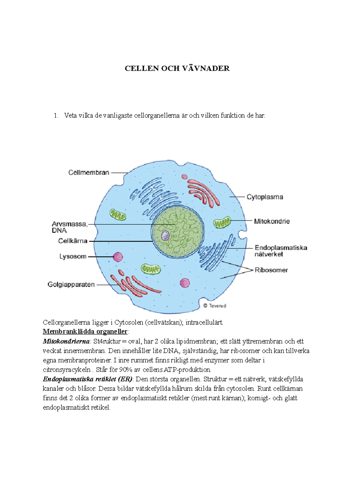 Anatomitentan del 1 ht17 - CELLEN OCH VÄVNADER Veta vilka de vanligaste ...