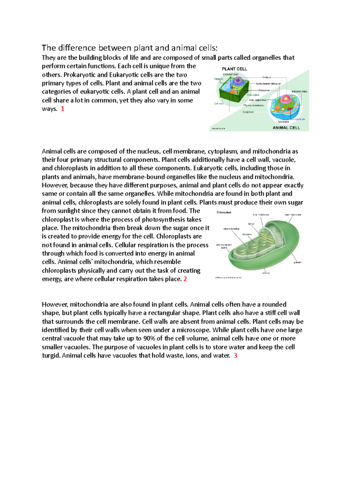 The difference between plant and animal cells - Each cell is unique ...