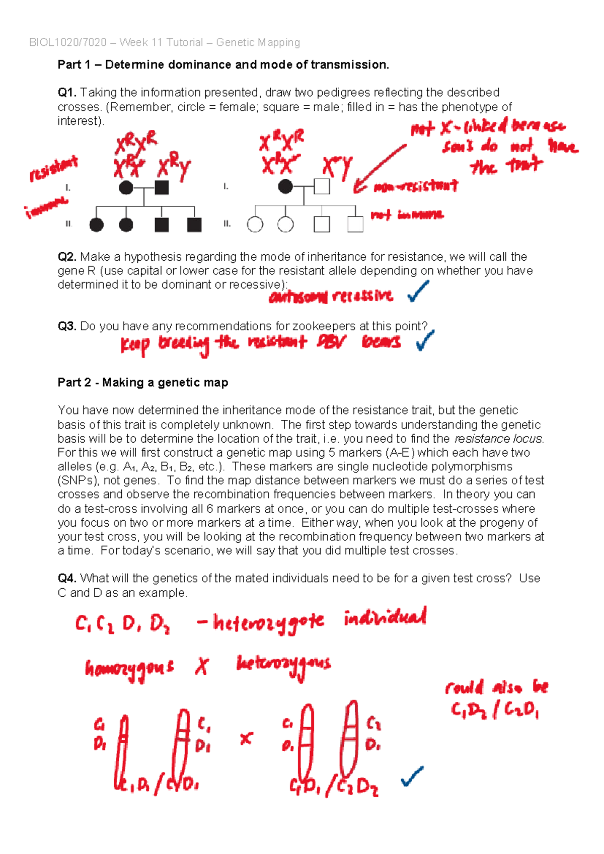BIOL1020 Tutorial Worksheet - Week 11 Linkage mapping-S2 2023 Student ...