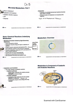 Bio 241 ch 11 - Chapter 11 - BIOL 241 - Studocu