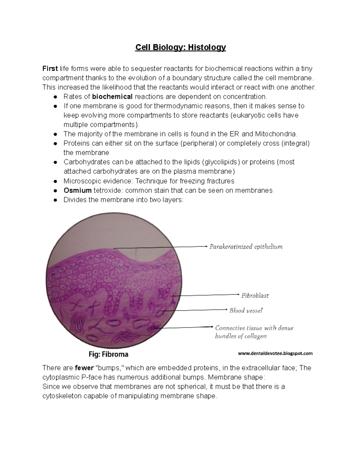 Cell Biology Histology - Cell Biology: Histology First life forms were ...