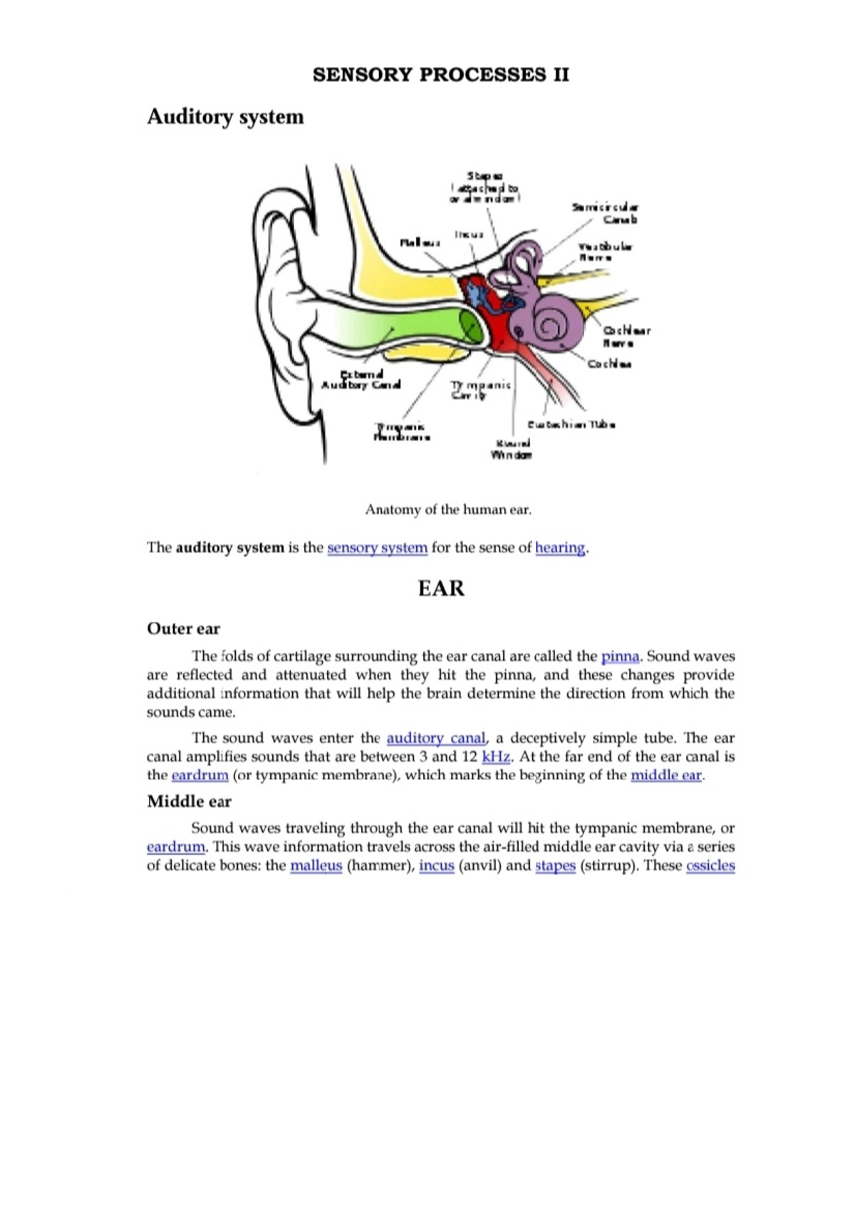 Sensory Processes - Psychological Psychology - Introduction to ...