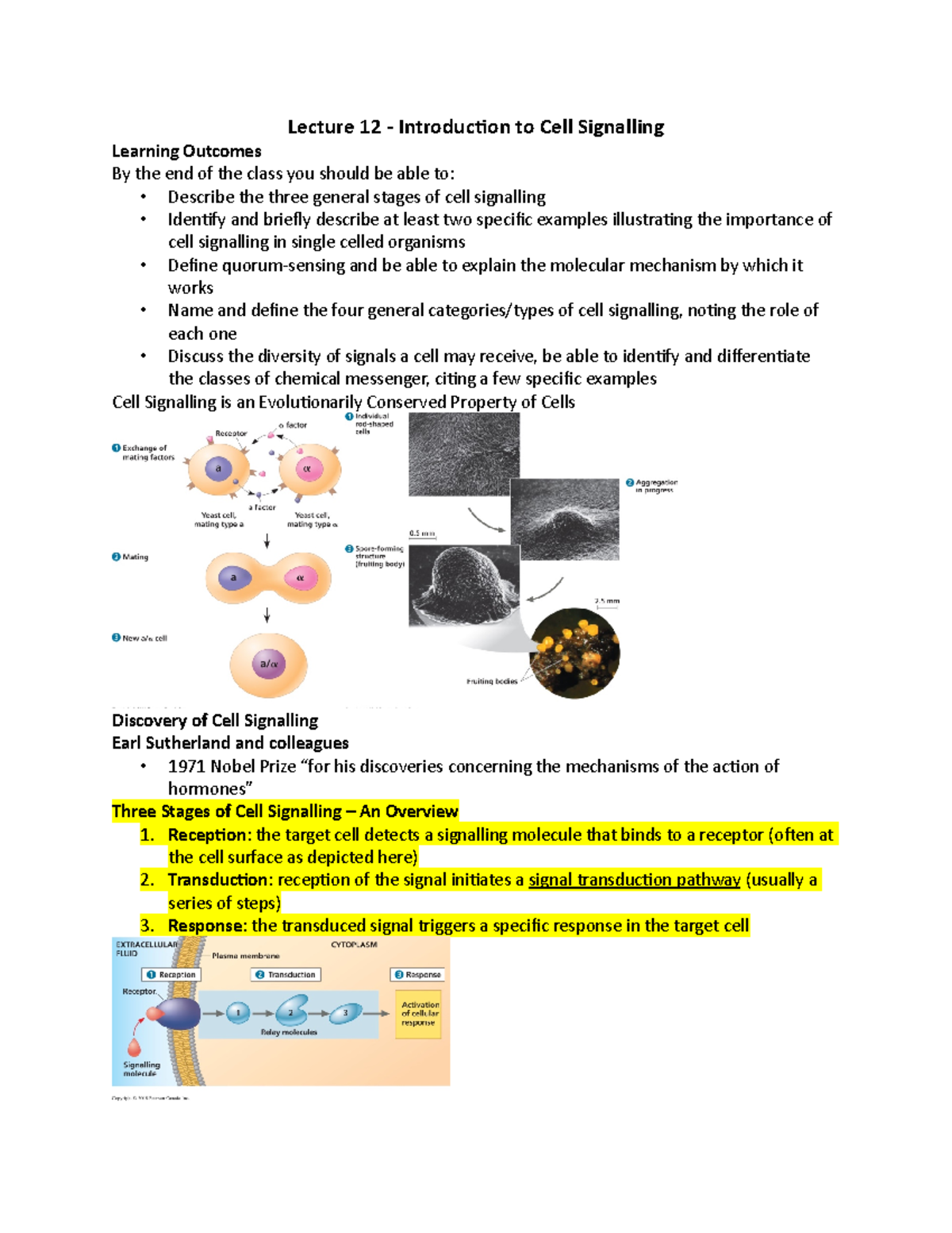 Lecture 12 Introduction To Cell Signalling Lecture 12