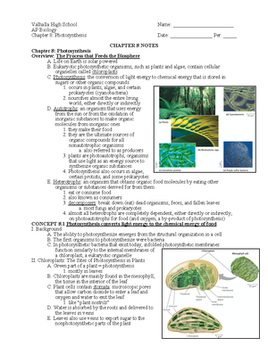 AP Biology Chapter 4 Notes - Valhalla High School Name ...