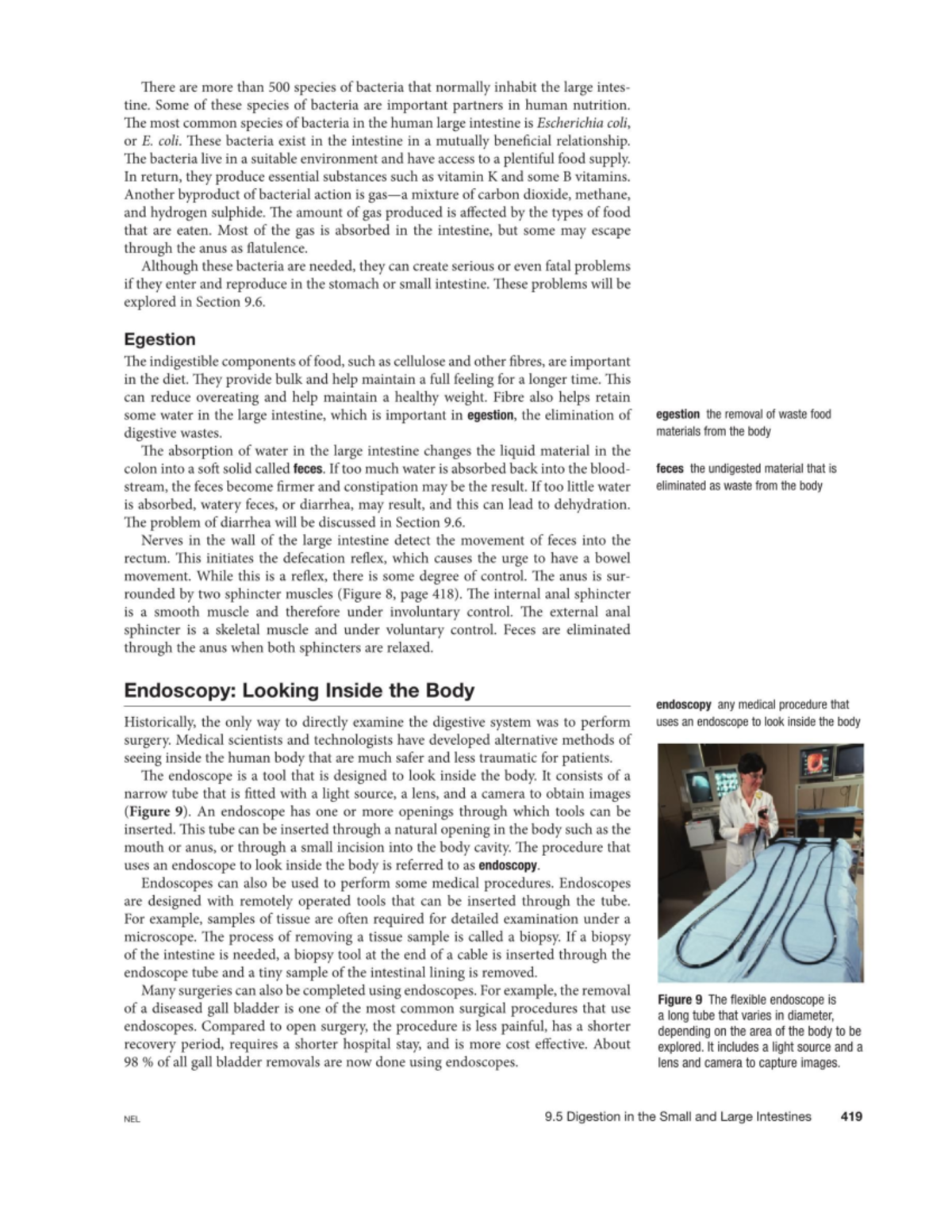 419 - pg 454 nelson textbook page Biology 11 end of chapter questions ...